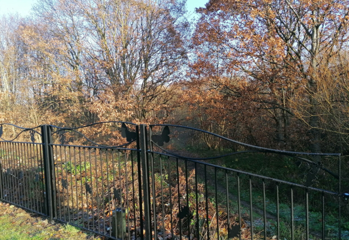 All Events in Sheffield