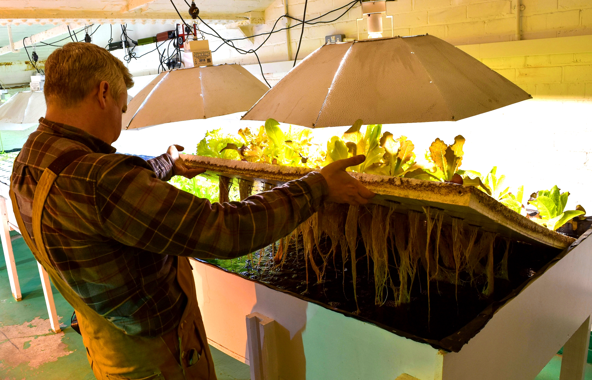 Help for local businesses