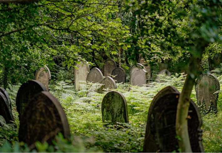 All Events in Sheffield